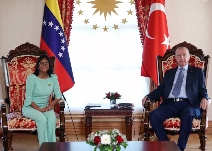 Erdoğan meets with Venezuela’s acting president during İstanbul visit ...